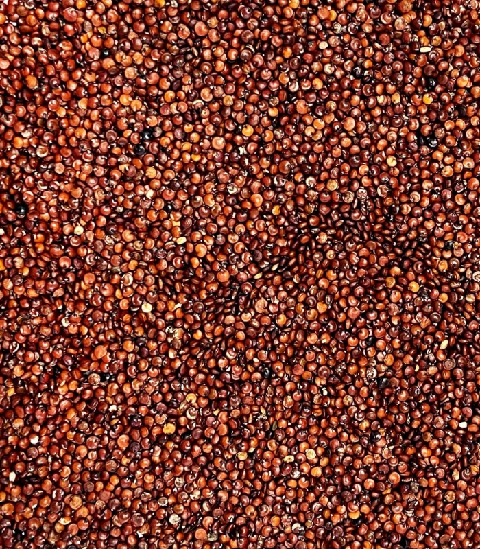 Quinoa rouge 500g