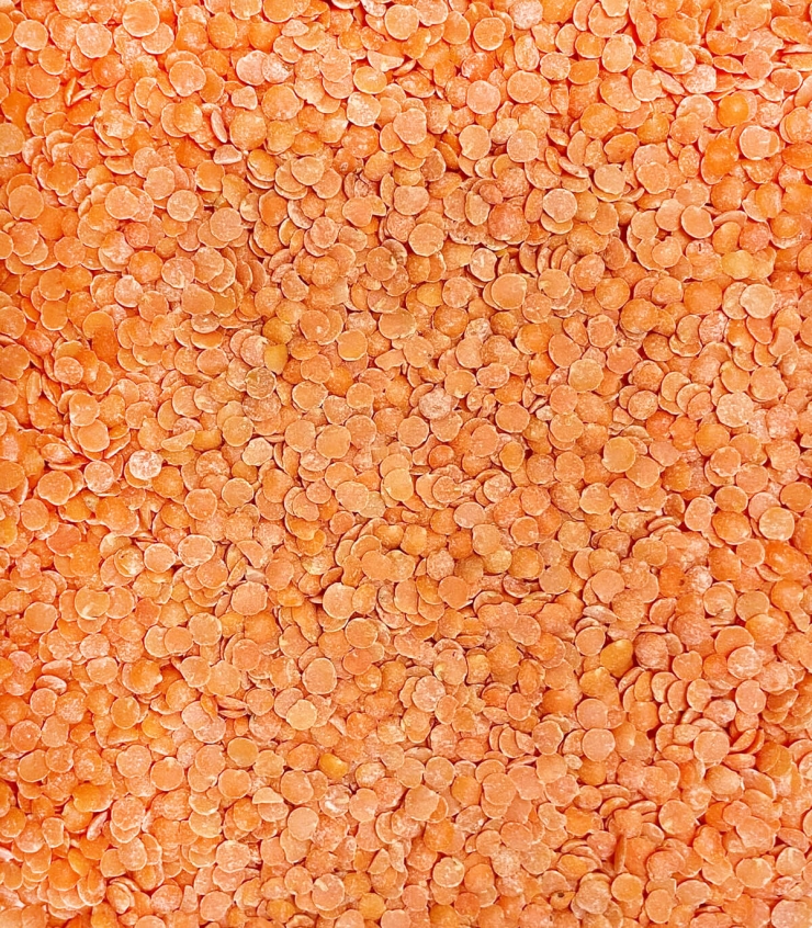 Lentilles corail Bio 450g