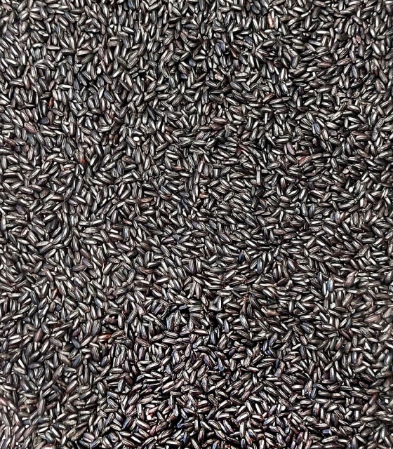 Riz noir interdit 950g